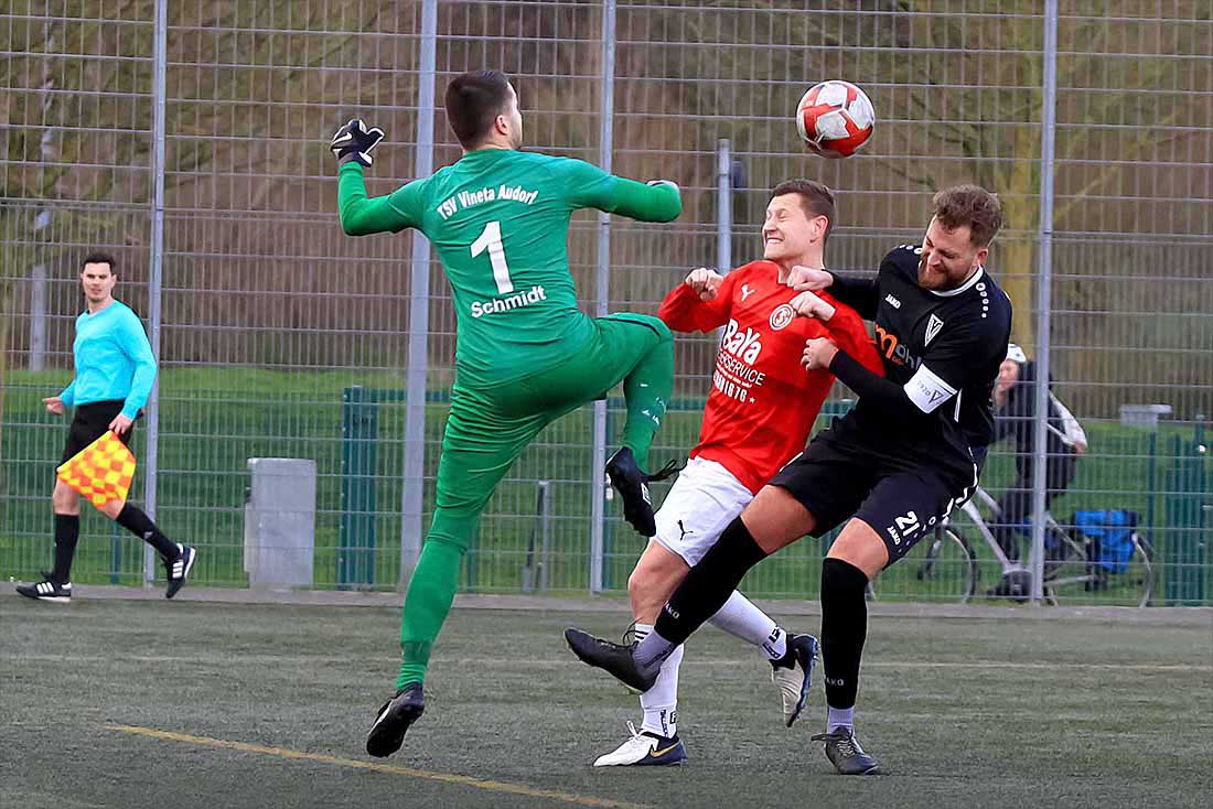 Übersicht VL Ost: Vineta Audorf gewinnt 6-Punkte-Spiel gegen Saxonia ...